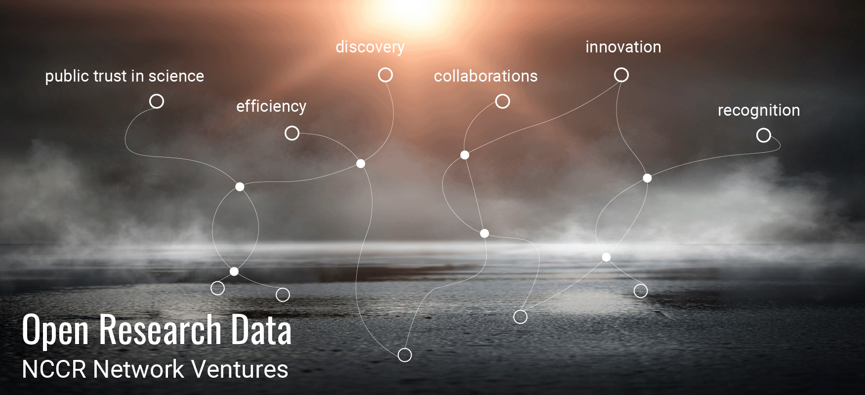 Our team - Open Research Data - NCCR Network Ventures